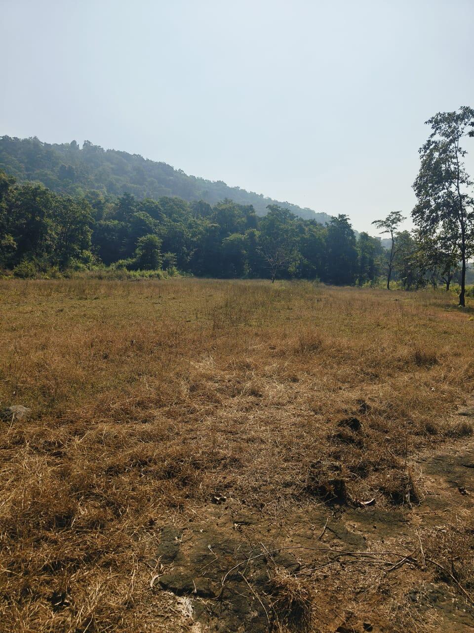Star Plot Pali, Raigad | Price List & Brochure, Floor Plan, Location ...