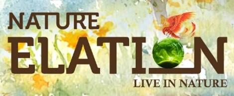 STSK Builders and Developers STSK Nature Elation Floor Plan - Varthur, Bangalore