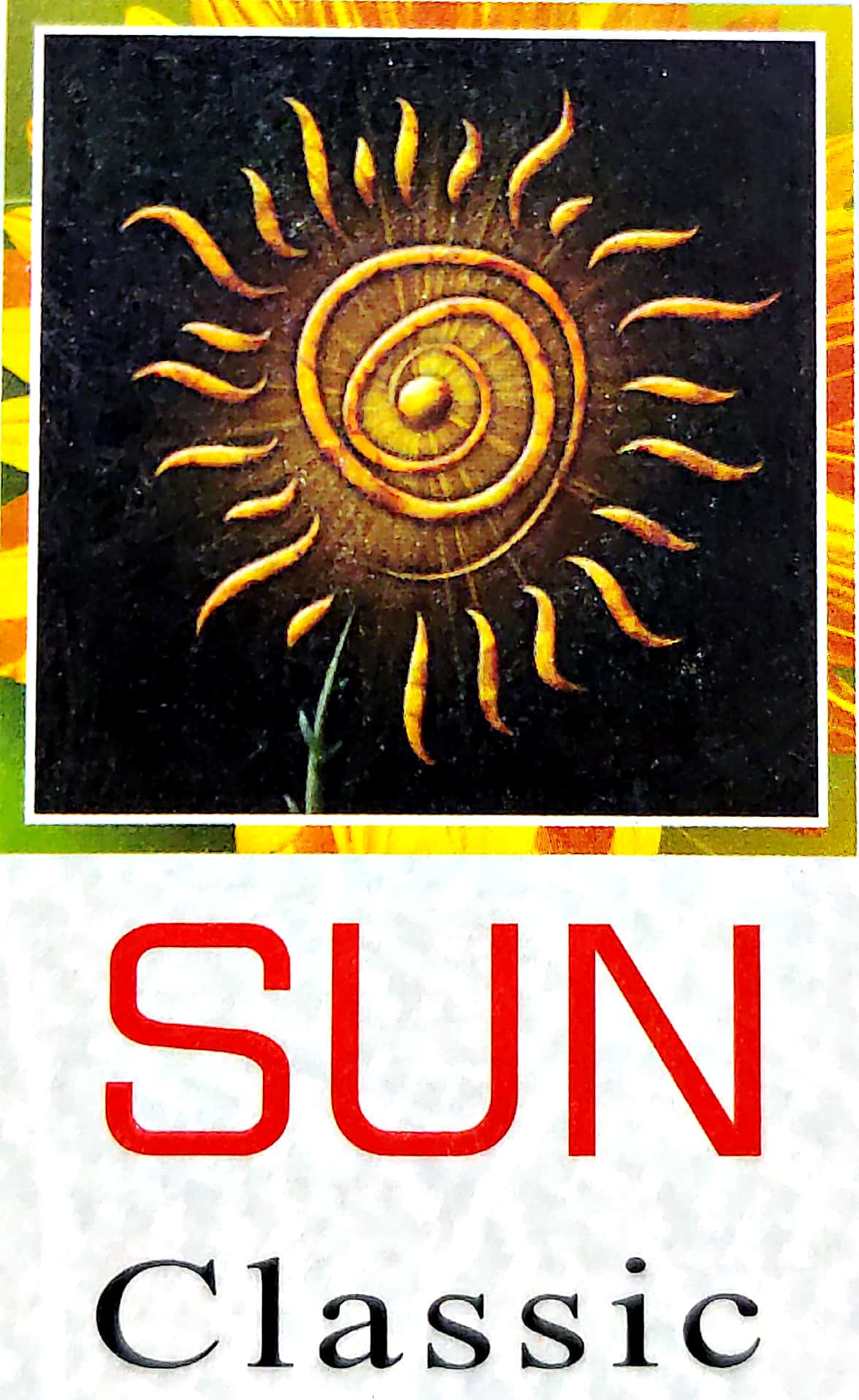 Sun Corporation Vadodara Sun Classic Amenities - Waghodia, Vadodara ...