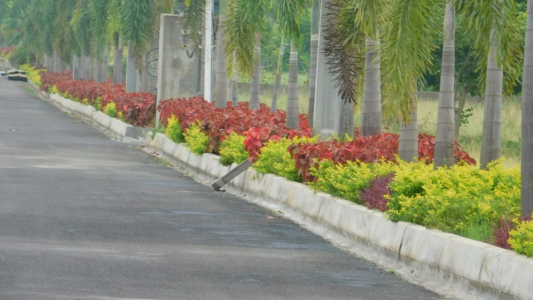 Residential land / Plot for sale in Sunsiri Orange County Mustabad ...
