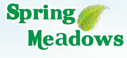 Supreme Spring Meadows Bhor, Pune Resale Price List, Brochure, Floor ...