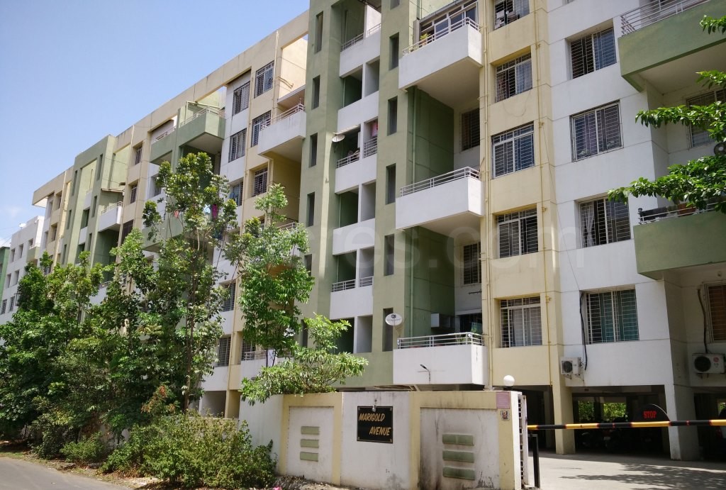 Surana Marigold Avenue Bavdhan, Pune Resale Price List, Brochure, Floor ...