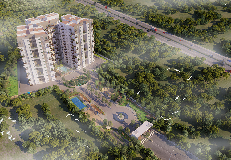 Surya Projects Bangalore Surya Humming Bird Photos And Videos ...