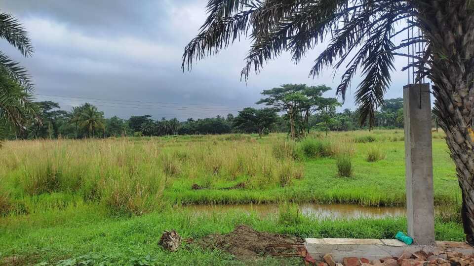 Tarun and Mossa Land Development Bakhrahat Industrial Estate Photos And ...