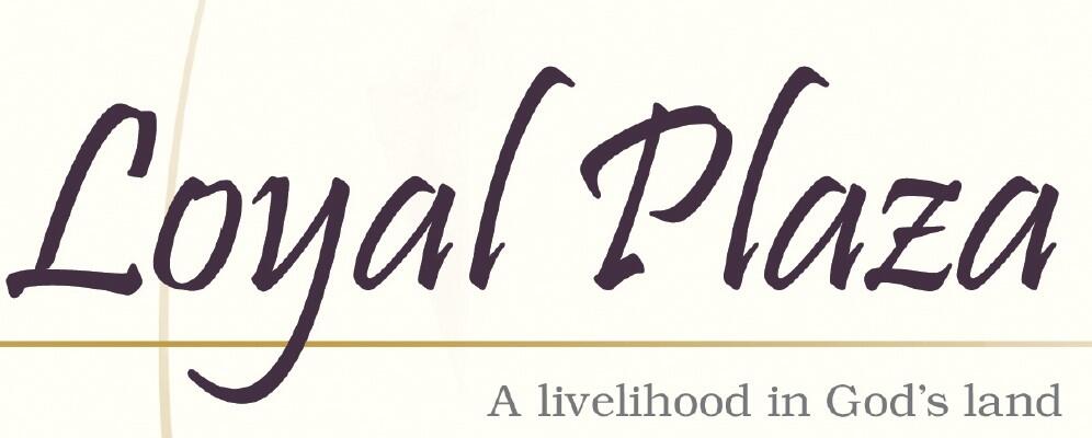 Temple City Eastcon Temple City Loyal Plaza Map - Khandagiri ...