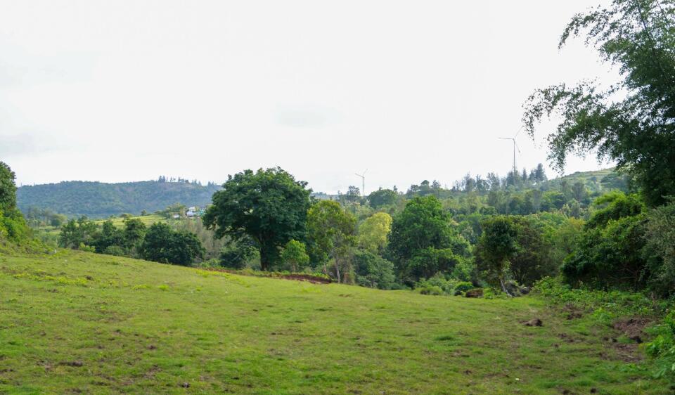 Ayana Ville by The Earthscapes Coimbatore, Anaikatti | Price List ...