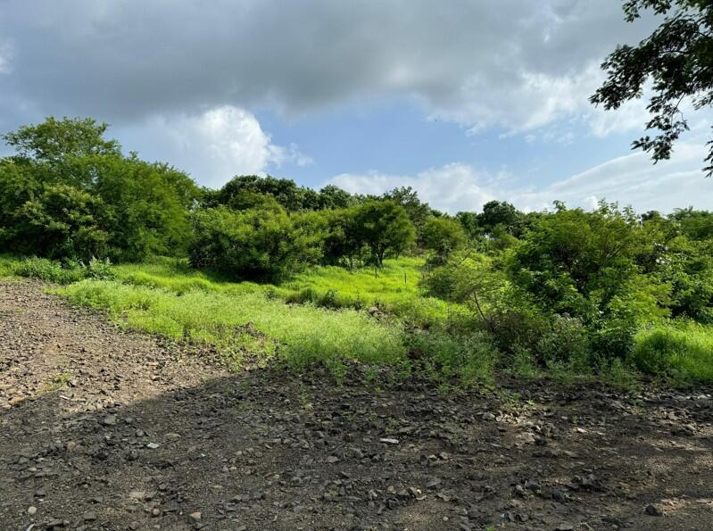 Thousand Key Property Malabar Hills Photos - Bhukum, Pune Pictures