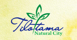 Tilottama Natural City Madhyamgram, Kolkata | Price List & Brochure ...