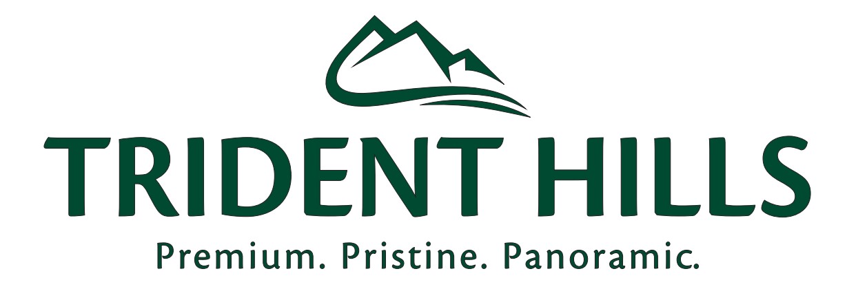 Trident Hills Sector 4 Panchkula | Price List & Brochure, Floor Plan ...