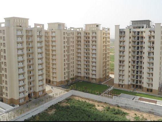 Tulip Infratech Tulip Orange Photos And Videos - Sector-70 Gurgaon Pictures