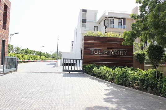 Tulip Infratech Tulip Ivory Photos And Videos - Sector 70, Gurgaon Pictures