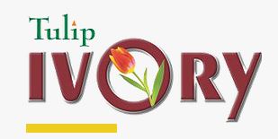 Tulip Ivory Sector 70, Gurgaon Resale Price List, Brochure, Floor Plan ...