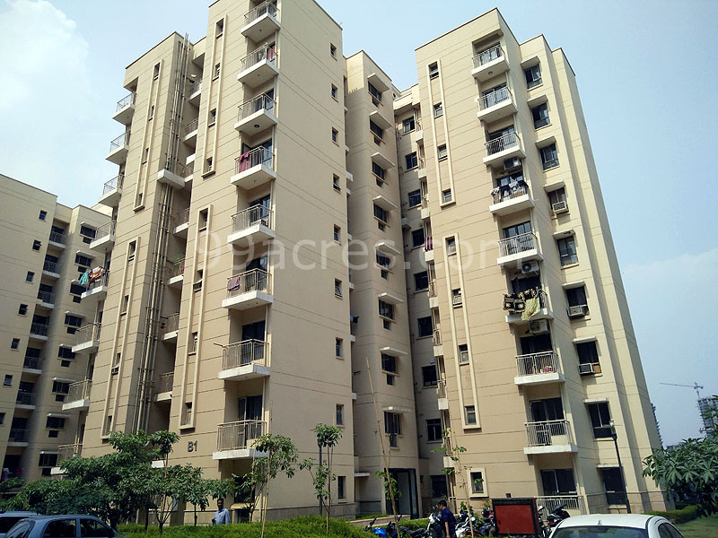 Unitech Unihomes Sector 117, Noida Resale Price List, Brochure, Floor ...