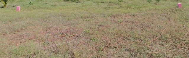 Residential land / Plot for sale in Barani Golden City Plots Mailam ...