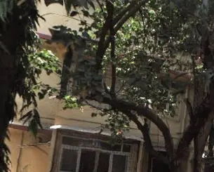 Brindavan Apartments Photos - Chembur Gaothan, Mumbai Pictures