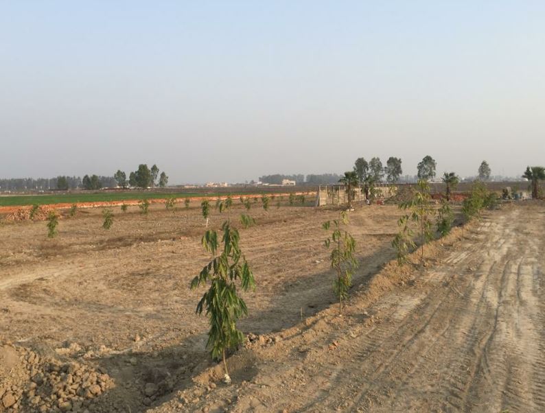 CBPL Mount Attalia Photos And Videos - Jewar, Greater Noida Pictures