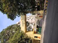 2 BHK / Bedroom Apartment / Flat for rent in Magarpatta Cosmos ...