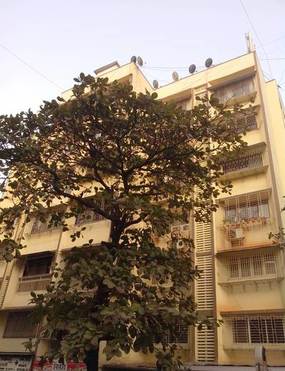 Cris Adel CHS Mumbai, Pratiksha Nagar Resale Price List, Brochure ...