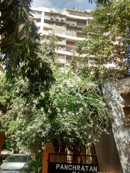 Elco Residency Photos - Bandra West, Mumbai Pictures