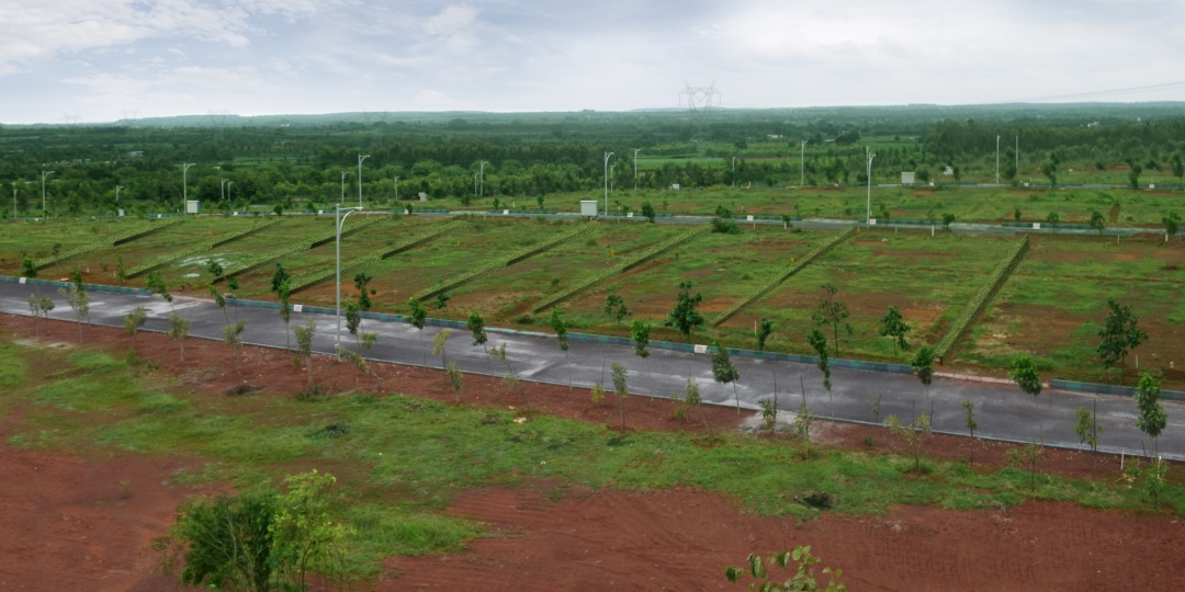 Ferns Forest View Jangamakote, Chikkaballapur, Bangalore Resale Price ...