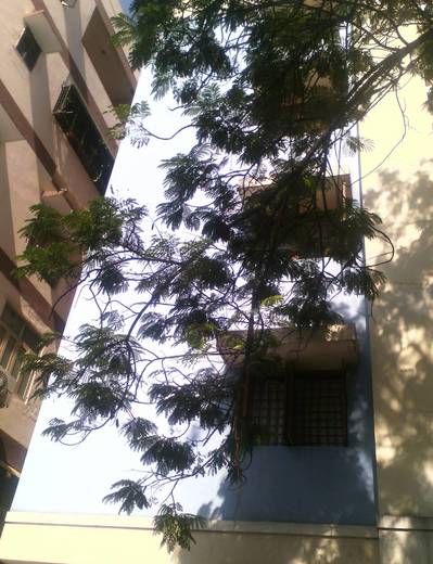 Highness Residency Photos - Jawahar nagar, Hyderabad Pictures