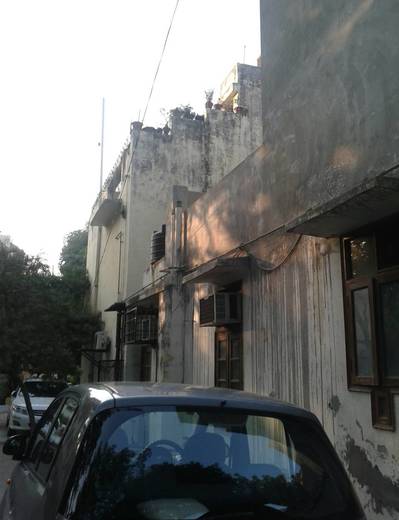 N Block Saket RWA Photos - Saket, South Delhi Pictures