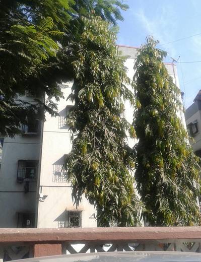 Navjeevan CHS Photos - Sector-15 Airoli, Navi Mumbai Pictures