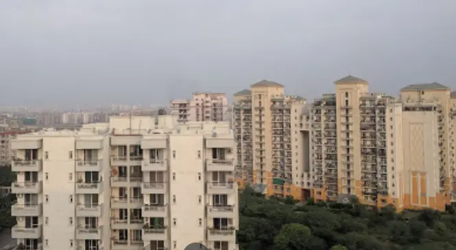 New IFS Society Sector 55, Gurgaon Resale Price List, Brochure, Floor ...