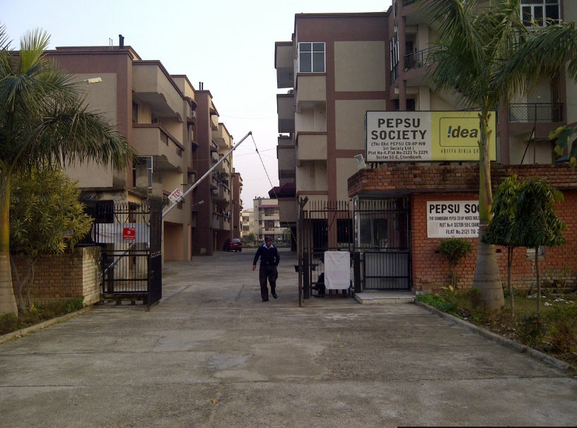 Pepsu Society Photos - Sector-50 Chandigarh Pictures