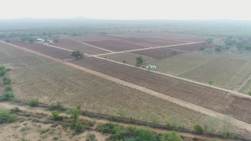 Red Gold Cultivation Nellore, Nandipadu Resale Price List, Brochure ...