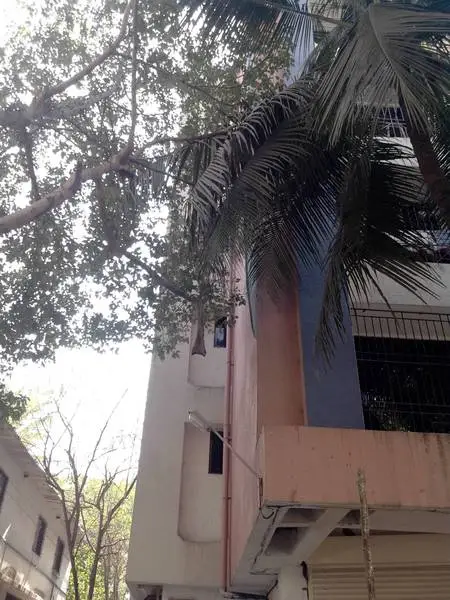 Samarth Prasad Photos - Vishnu Nagar, Thane Pictures