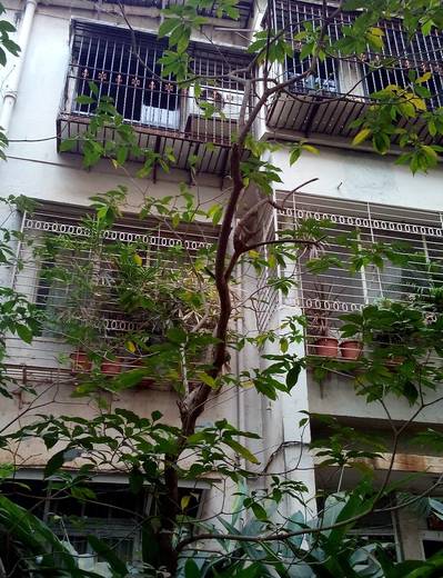 Savarkar Sadan Photos - Dadar (West), South Mumbai Pictures