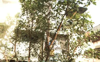 Snehal Garden Photos - Dalvinagar, Pune Pictures