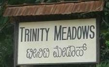Trinity Meadows Bellandur, Bangalore Resale Price List, Brochure, Floor Plan, Location Map & Reviews