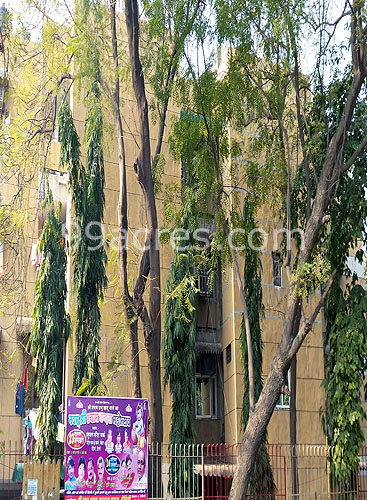 2 BHK / Bedroom Builder Floor for rent in Tulsi Apartment Sector 14 ...