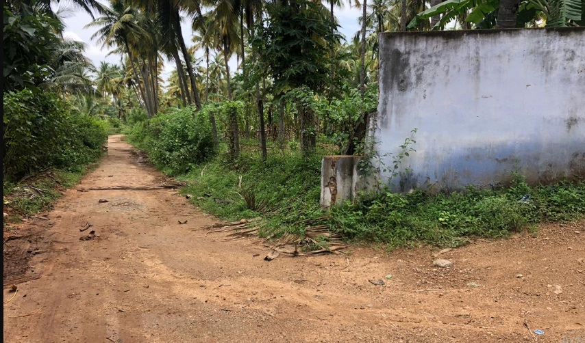 Urban to Village Urban Cumbum Valley Farm Photos - Cumbum, Theni Pictures