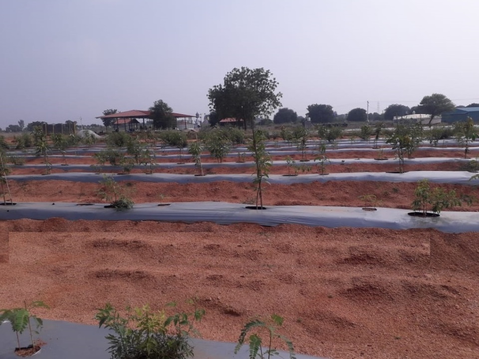 USM My City Go Ranch Farm Warangal highway, Hyderabad Resale Price List ...