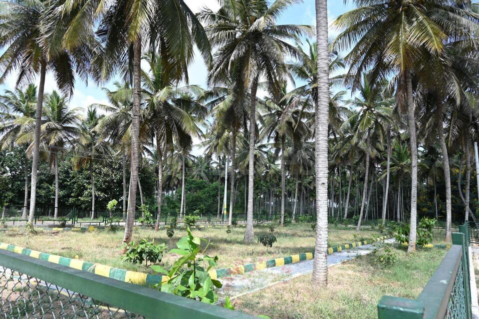 Vinyas Group Vinyas 1903 Serenity Photos And Videos - Hebbal, Mysore Pictures