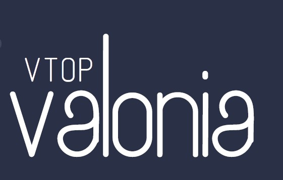 Vtop Valonia Punawale, Pune | Price List & Brochure, Floor Plan ...