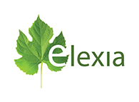 Wellnest India Projects Wellnest Elexia Photos - Nandi Hills, Chikkaballapur, Bangalore Pictures