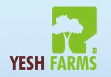 Yesh Farms Bogadi, Mysore Resale Price List, Brochure, Floor Plan ...