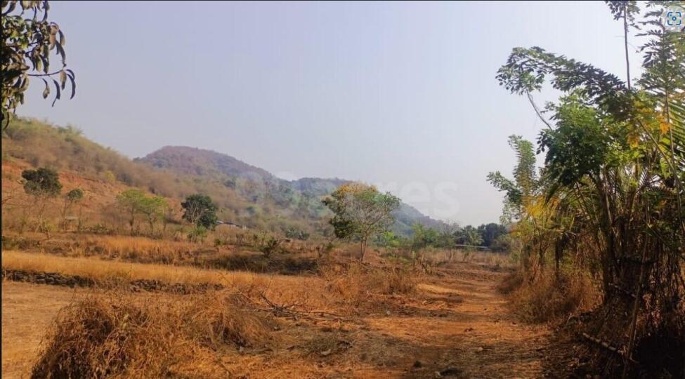Zamindar Realtors Zamindar Plots Ranjanpada Photos - Ranjanpada, Navi ...